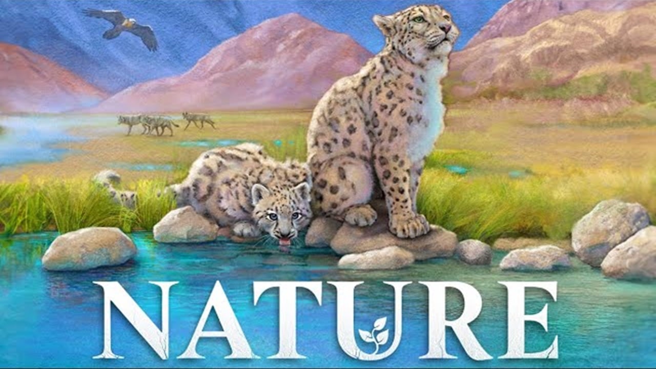 Digital Version of Nature Board Game Launches on Android with a Modular ...